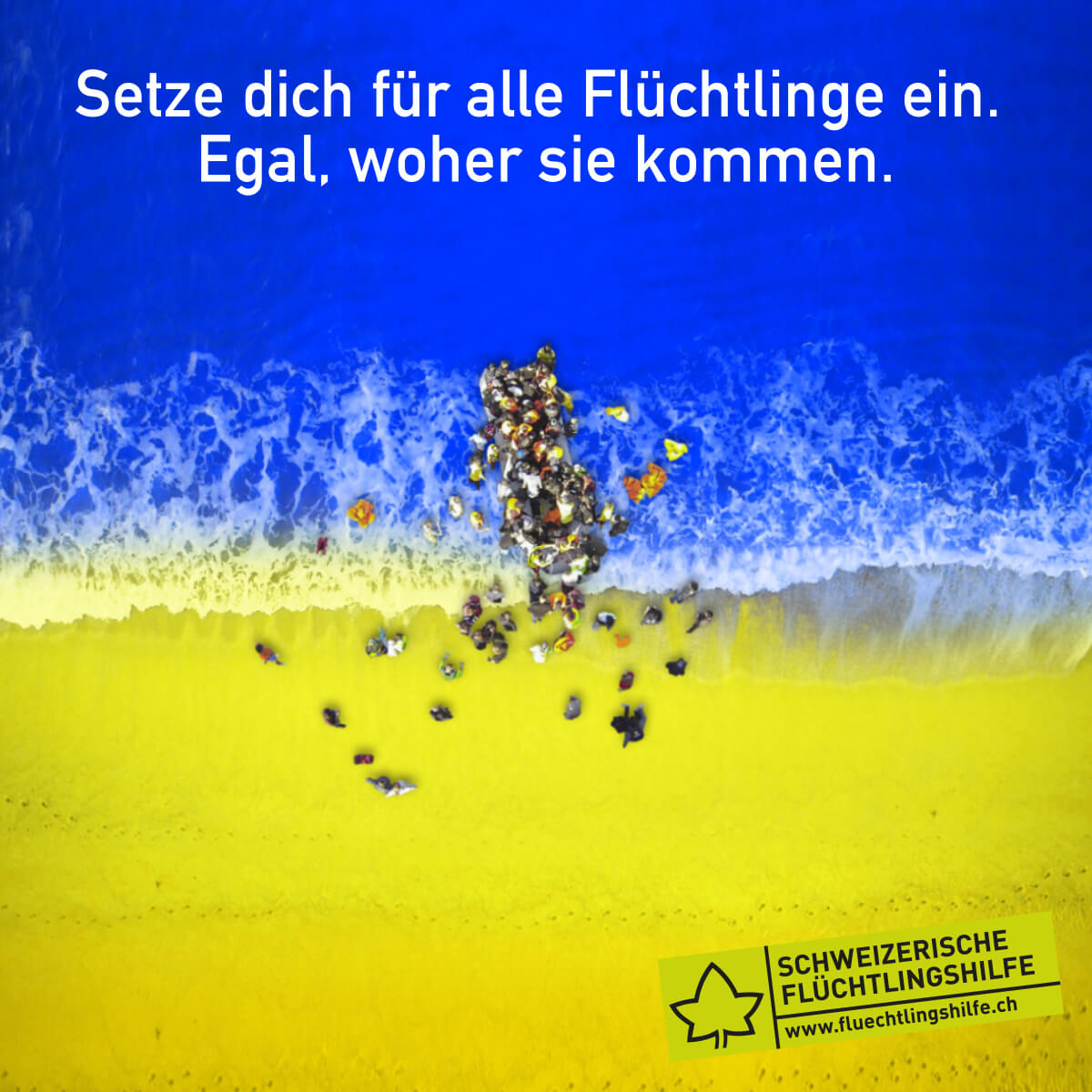 Cases Archive | Spinas